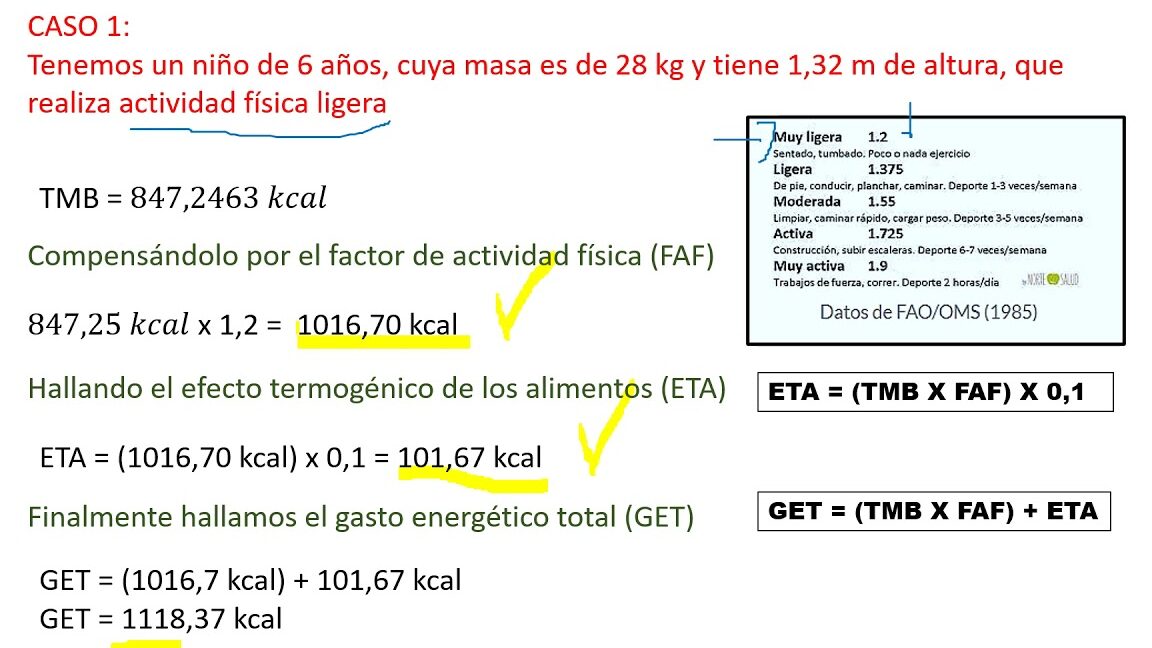 Como se calcula el gasto energético basal según Harris-Benedict